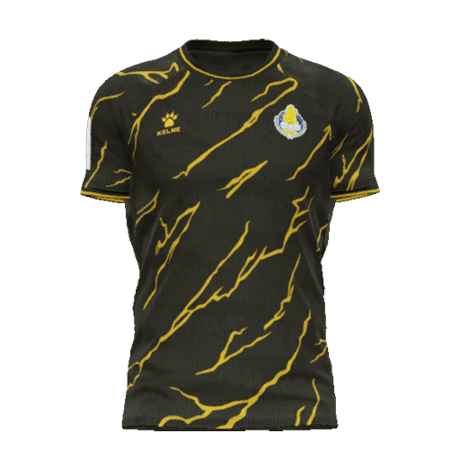 Al Gharafa SC eFootball Stats